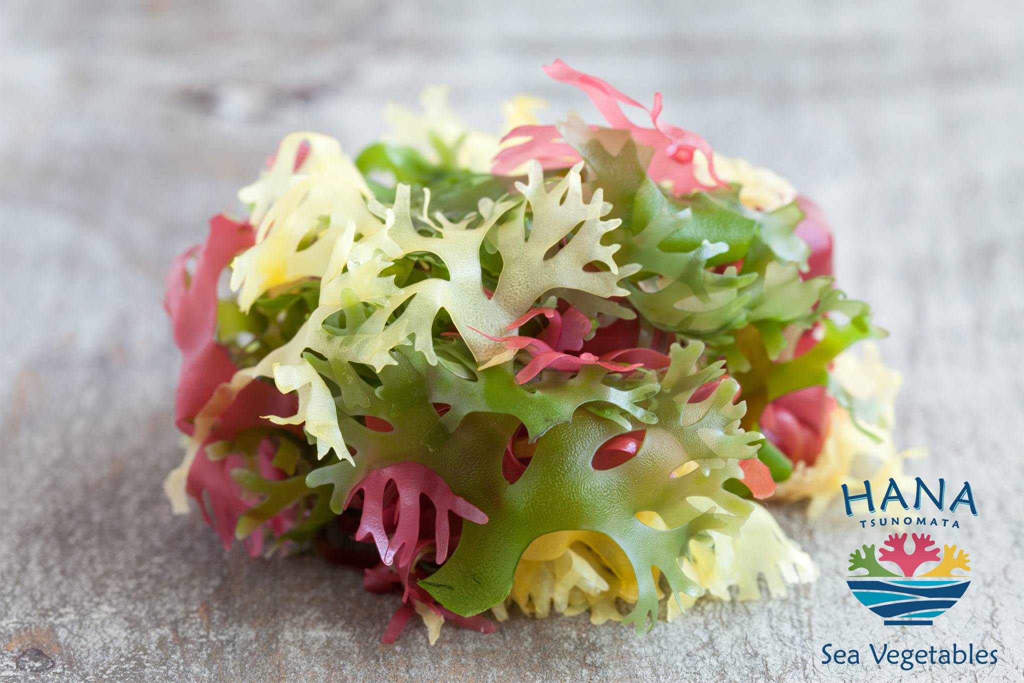 Can Chefs Liven Up Their Fine Dining Plating with Seaweed?