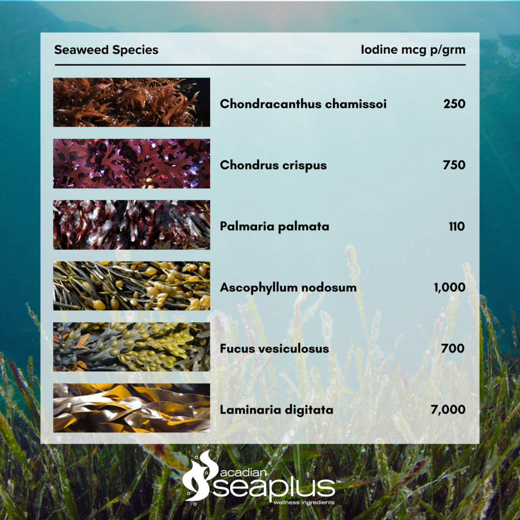 3 Iodine Health Benefits You Can’t Live Without